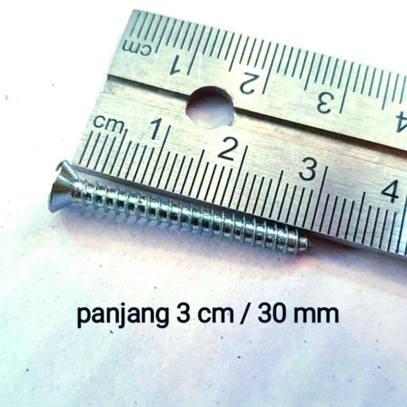 Jual (100 pcs) Sekrup skrup scrub baut baud 6x1¼ 30 mm | Shopee Indonesia