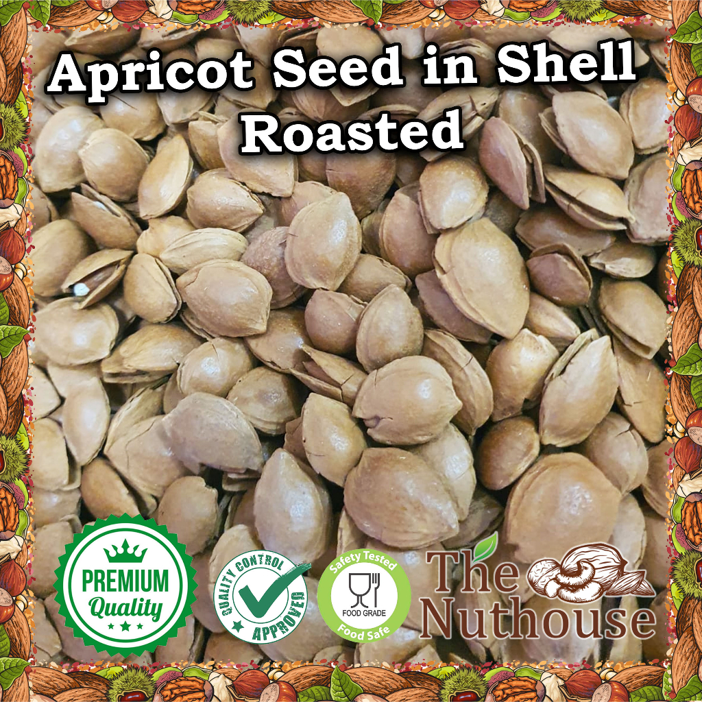 Jual 500gr Apricot Seed in Shell Roasted / Biji Aprikot Cangkang ...