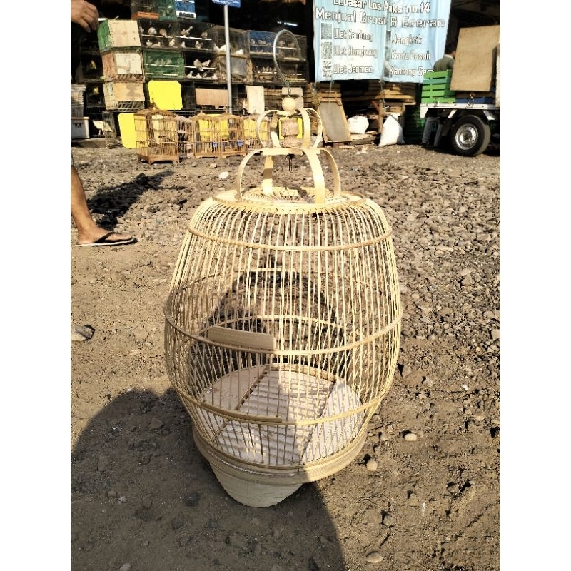 Jual SANGKAR KANDANG GENTONG TARIK SOROKAN. | Shopee Indonesia