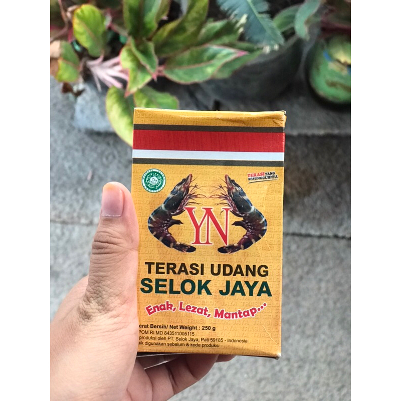 Jual Terasi Udang Selok Jaya Merk YN (250 gram) | Shopee Indonesia