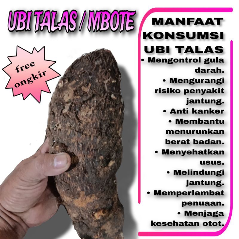 Jual Ubi Talas Mbote Entik Super Segar 1kg | Shopee Indonesia