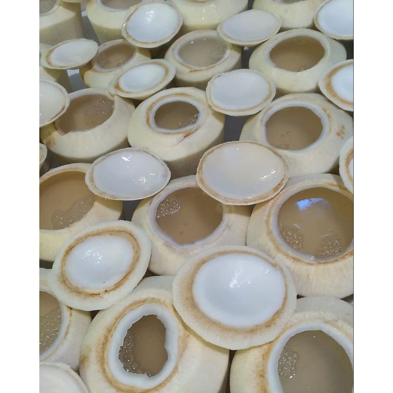 Jual Degan Jelly | Shopee Indonesia