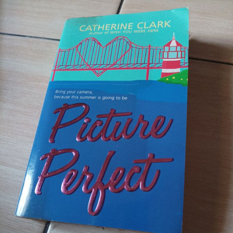 Jual buku novel bahasa Inggris picture perfect | Shopee Indonesia