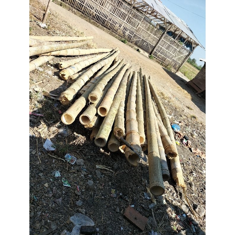 Jual Bambu sendaren petung 2 meter set sendaren rakitan | Shopee Indonesia