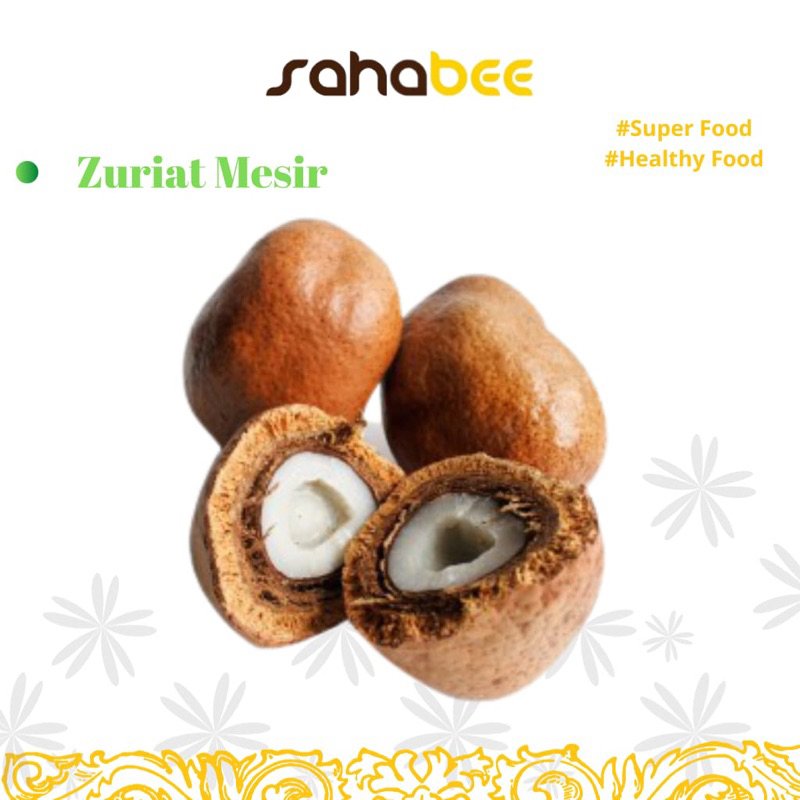 Jual Buah zuriat mesir belah 1 kg free test pack/zuriat promil/buah ...