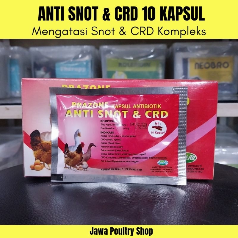 Jual ANTI SNOT & CRD KAPSUL ORIGINAL - Obat Snot dan CRD Isi 10 Kapsul | Shopee Indonesia