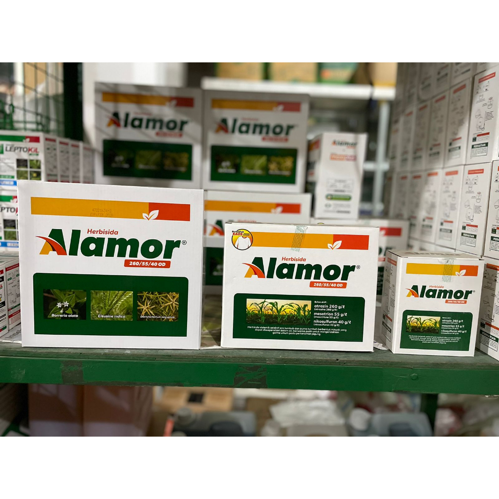 Jual Alamor Herbisida Selektif Tanaman Jagung 3 Bahan Aktif 200ml ...