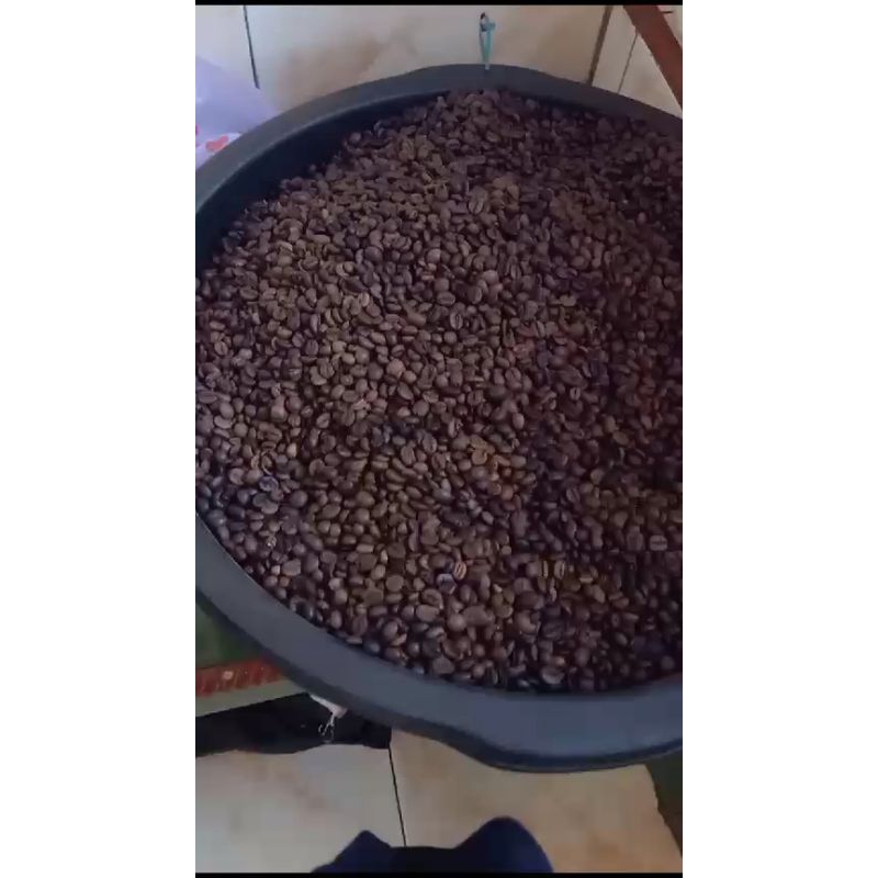 Jual Roast Bean Robusta TIRTOYUDO 1kg, CANEPHORA COFFEE free TINTIE ...