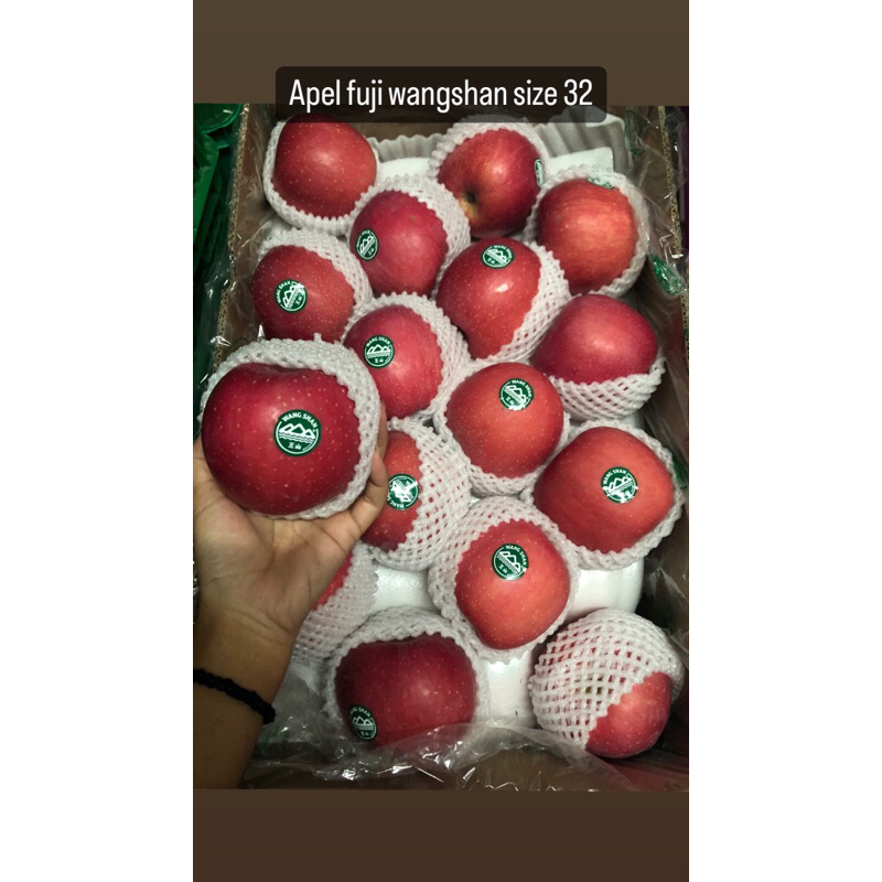 Jual Apel Fuji Wangshan Premium Size 32 / kg | Shopee Indonesia