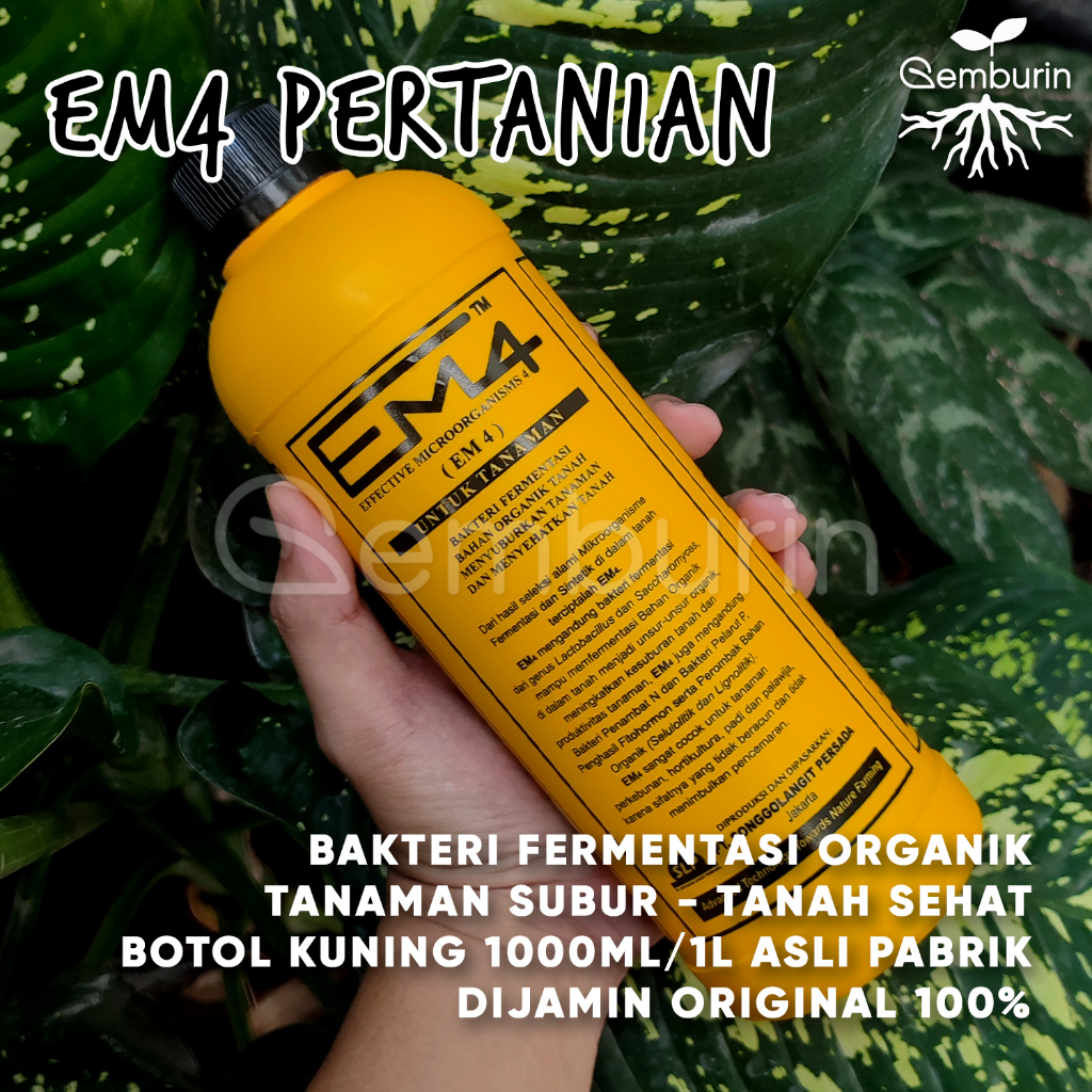Jual EM4 Pertanian 1 Liter Kuning Asli Pabrik / Microorganisme Organik ...