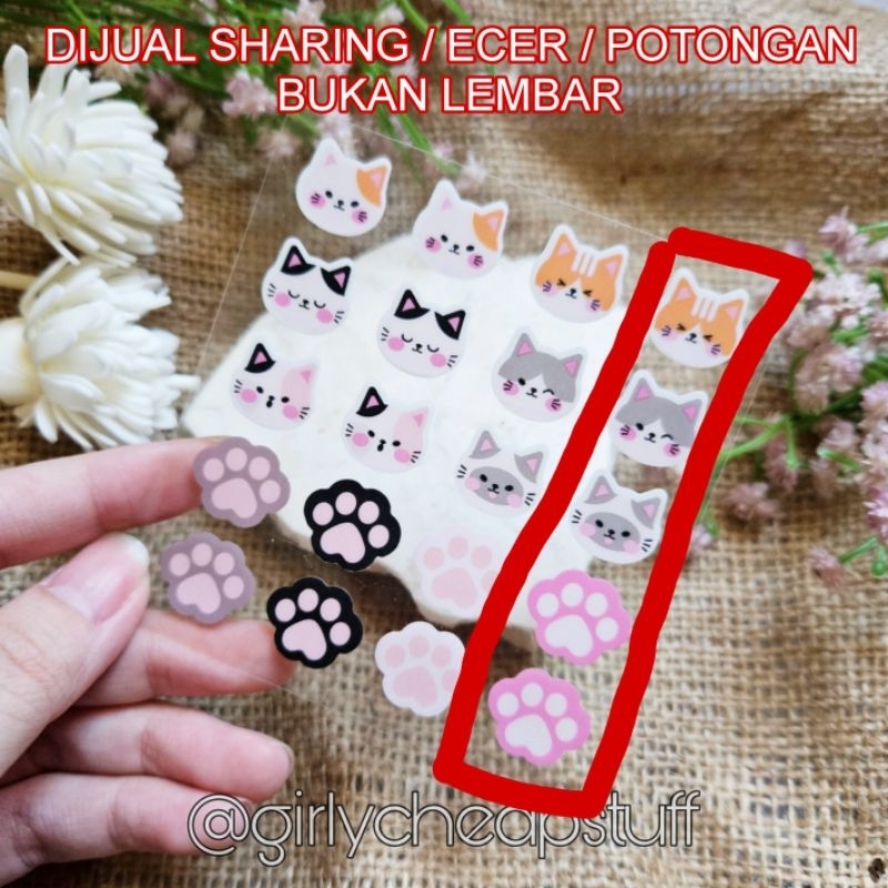 Jual SHARE ECER BUKAN LEMBAR Cat Theme Kitten Kucing Stiker Jerawat ...