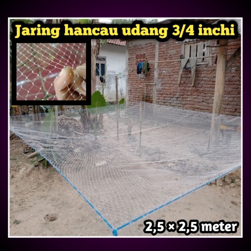 Jual Branjang udang tangkul udang hancau udang jaring anco udang lubang ...