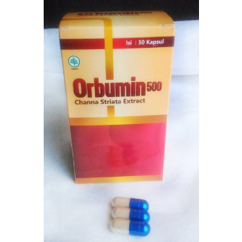Jual ORBUMIN ISI 30 KAPSUL ( EXP JAN 2024 ) | Shopee Indonesia