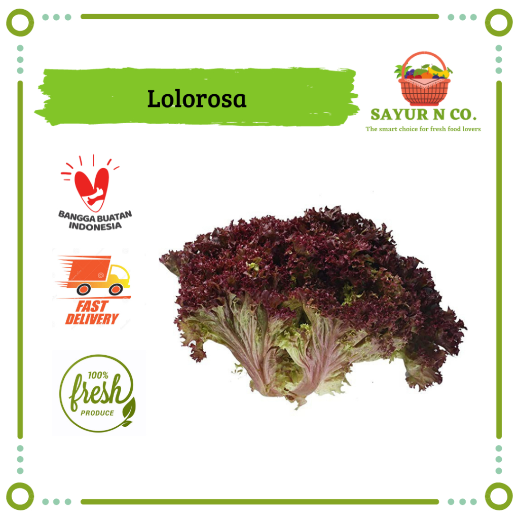 Jual Lolorosa / Red Lettuce / Selada Merah | Sayur N Co Bekasi | Shopee ...
