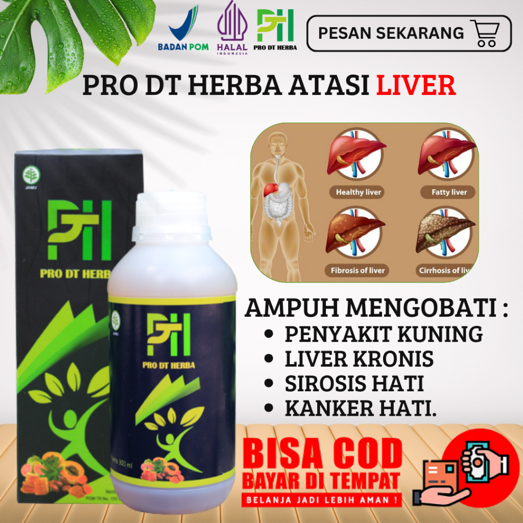 Jual Obat liver paling ampuh dan terpercaya, obat liver herbal paling ...