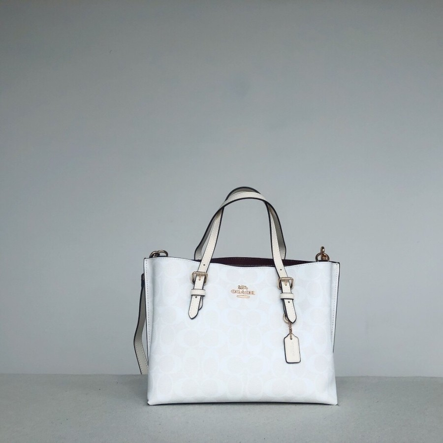 Jual TAS WANITA COACH MINI MOLLIE TOTES SIGNATURE 25 WHITE | Shopee ...
