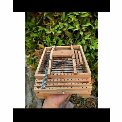 Jual Sangkar Burung Mini Ambrukan Mentah Kayu Jati | Shopee Indonesia