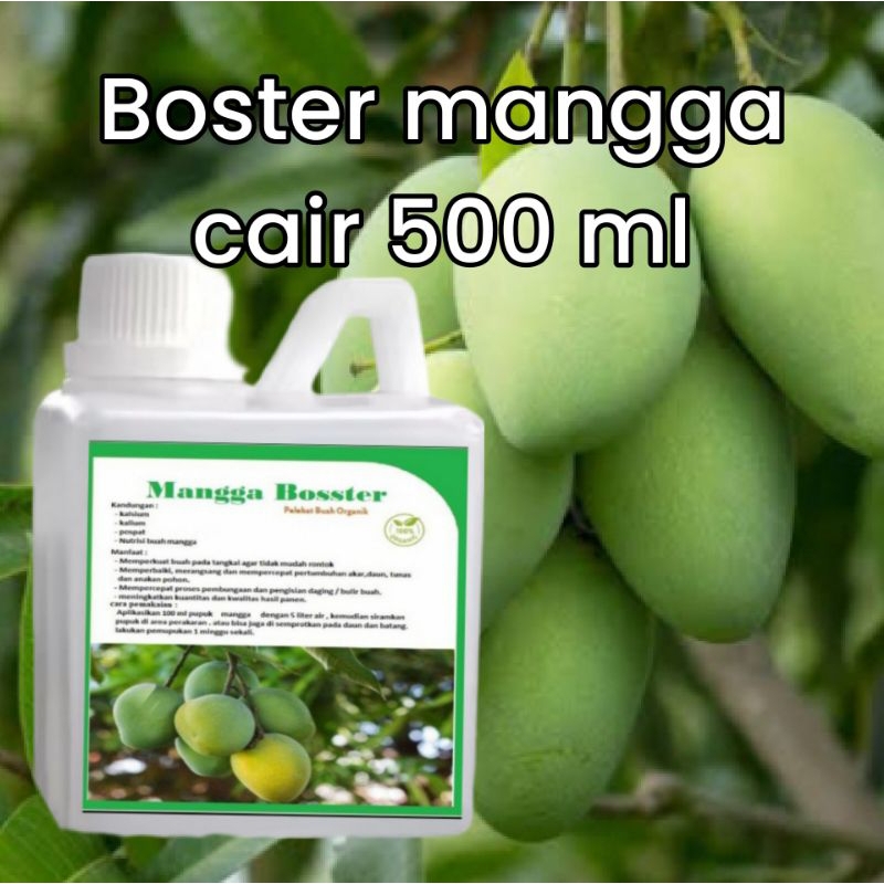 Jual Pupuk organik pelebat tanaman boster mangga cair 500 ml | Shopee Indonesia