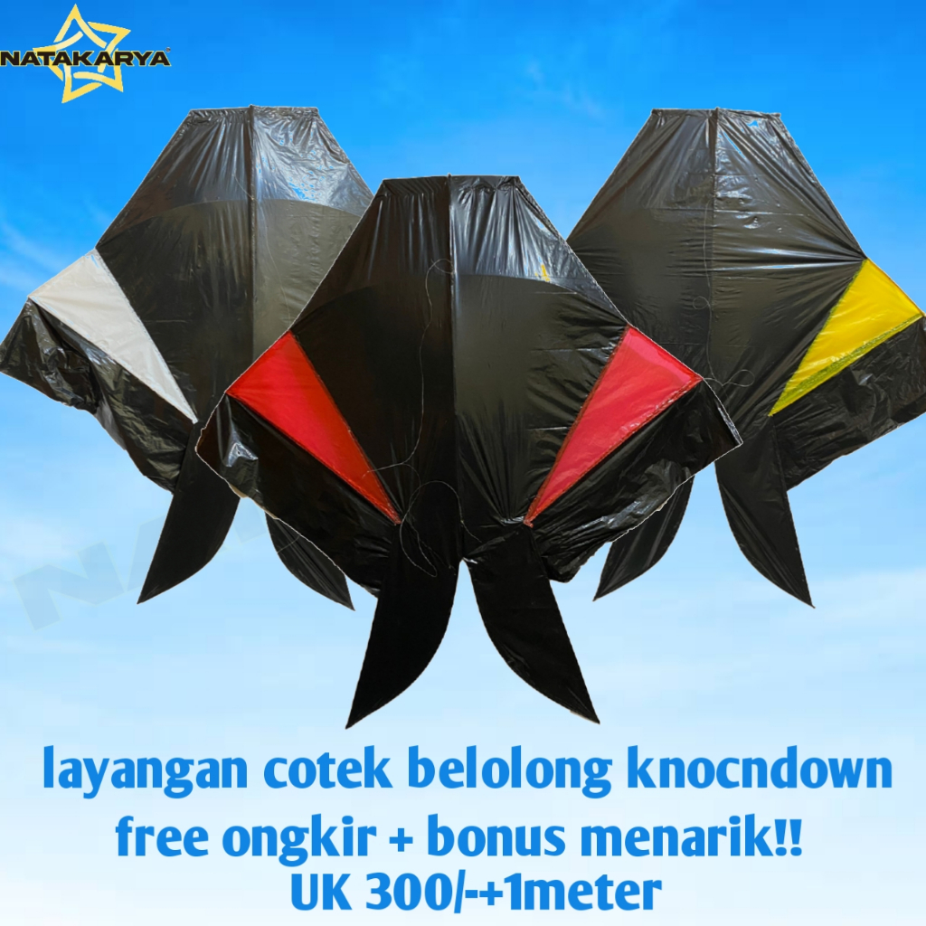 Jual Layangan Cotek Belolong 1meter - Layangan Cotek - Layangan bebean ...