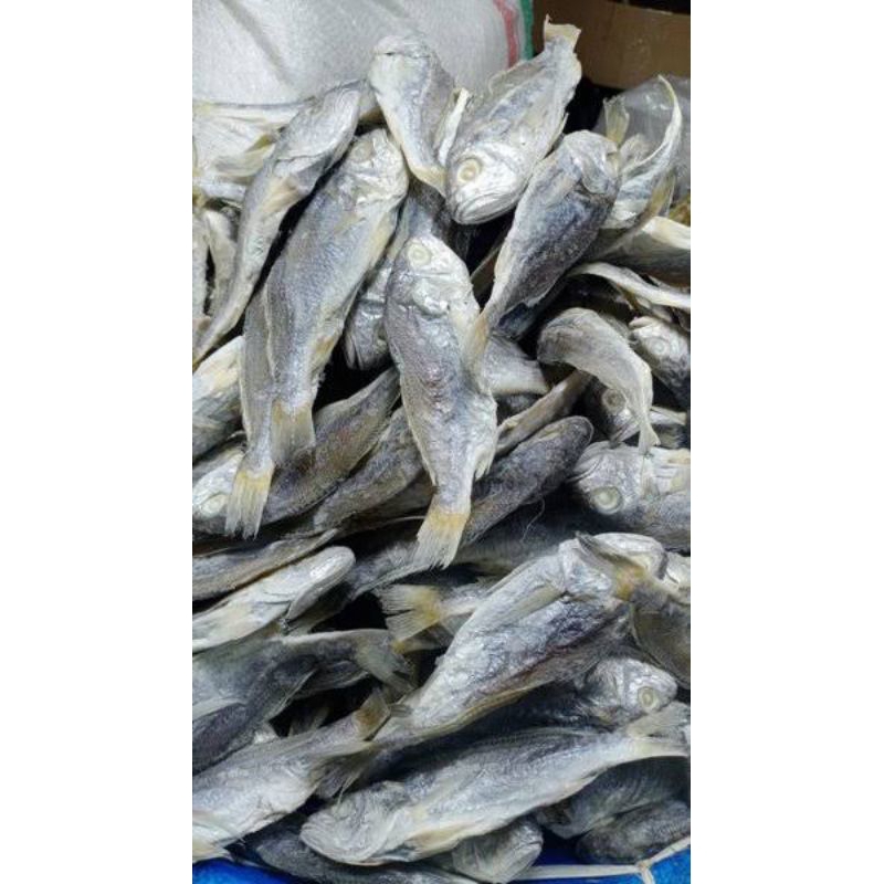 Jual Ikan asin dan cumi asin 100g | Shopee Indonesia
