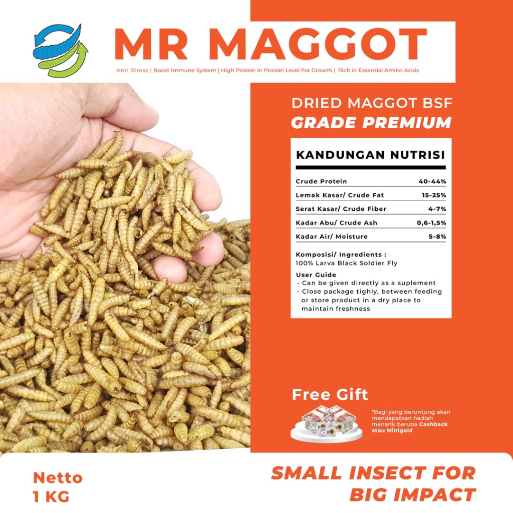 Jual MR MAGGOT - Maggot/Magot Kering BSF 1kg Grade PREMIUM / Pakan Koi ...