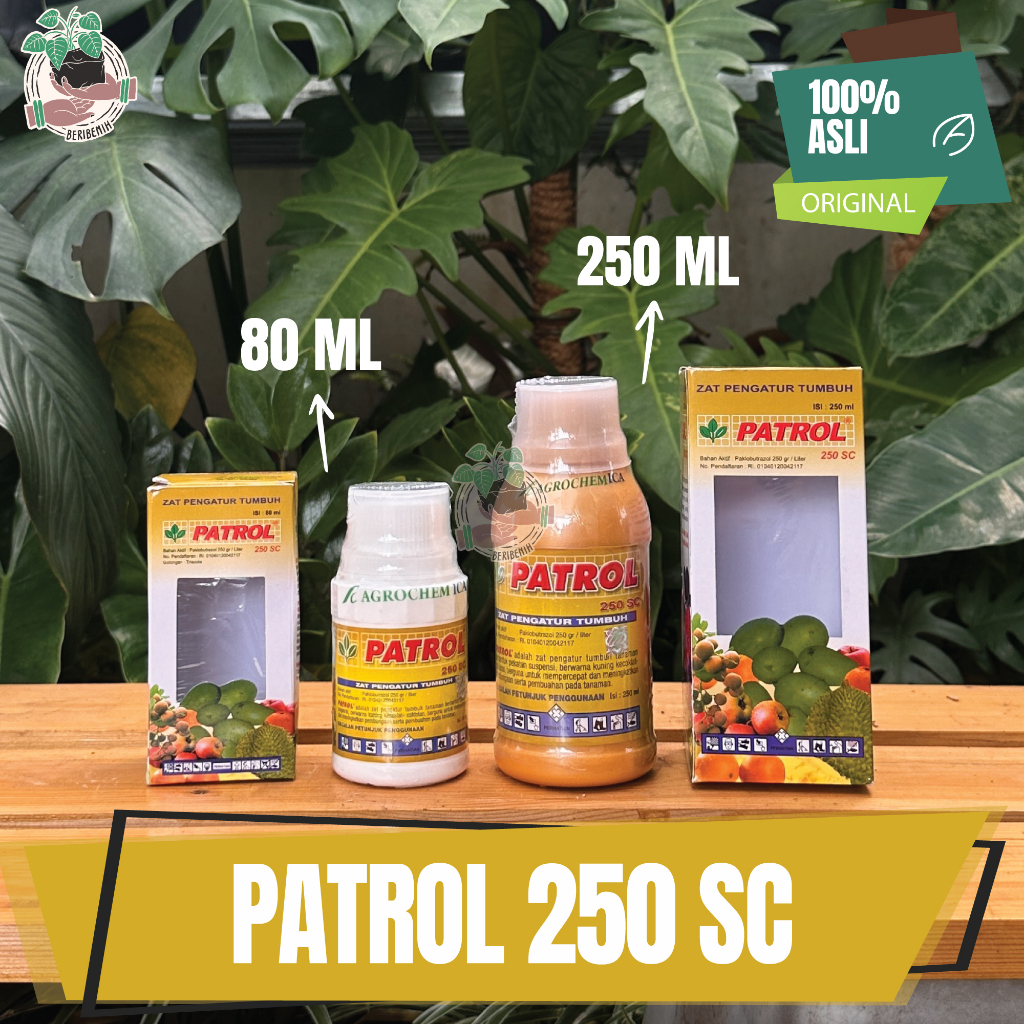 Jual Pupuk Tanaman Buah ZPT Patrol 250 SC Ori Hormon Merangsang ...