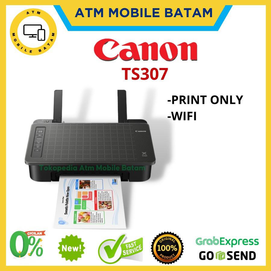 Jual canon PIXMA TS307 Wireless Printer with Smartphone Copy | Shopee ...