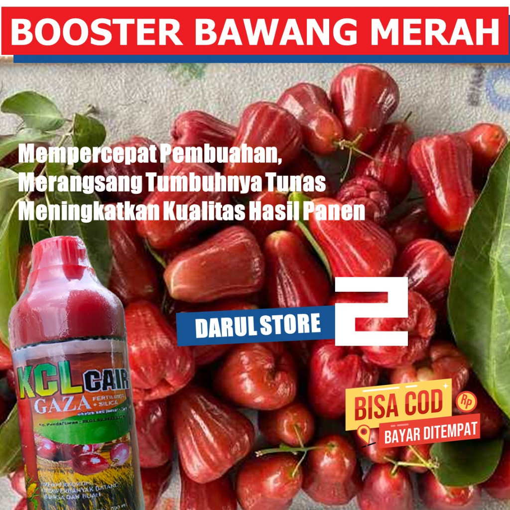 Jual PUPUK Booster Jambu Air Anti Rontok Memperbanyak Tunas Baru dan ...