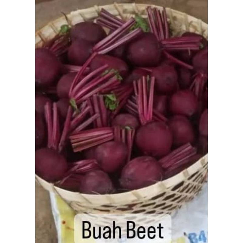 Jual buah beet 1 kg | Shopee Indonesia