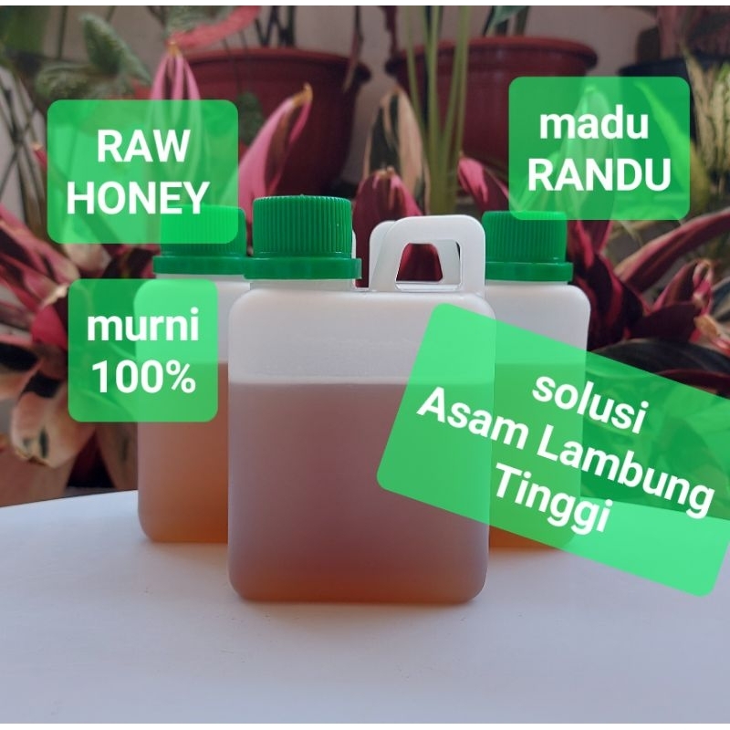 Jual Madu Randu Asli Polos 12kg No Tipu Tipu Raw Honey Harga Grosir Shopee Indonesia