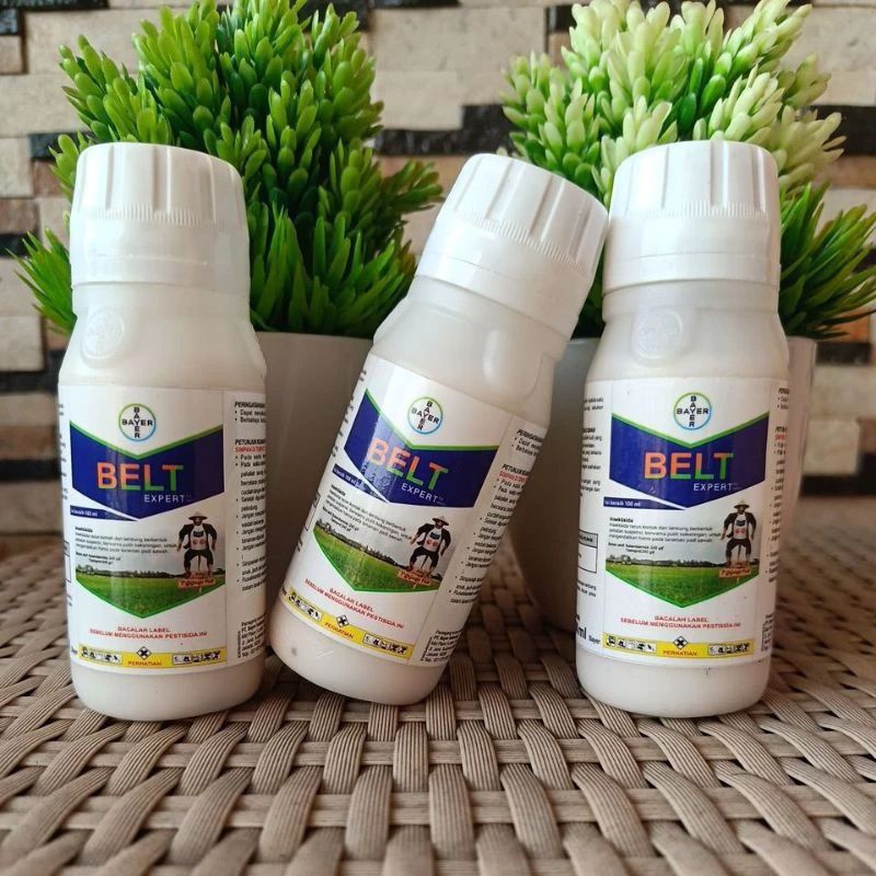 Jual insektisida BELT xpert 480SC 100ml | Shopee Indonesia