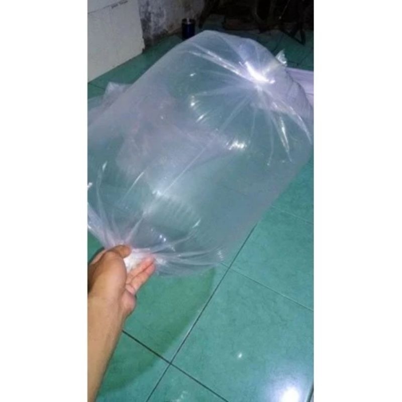 Jual plastik packing ikan | Shopee Indonesia