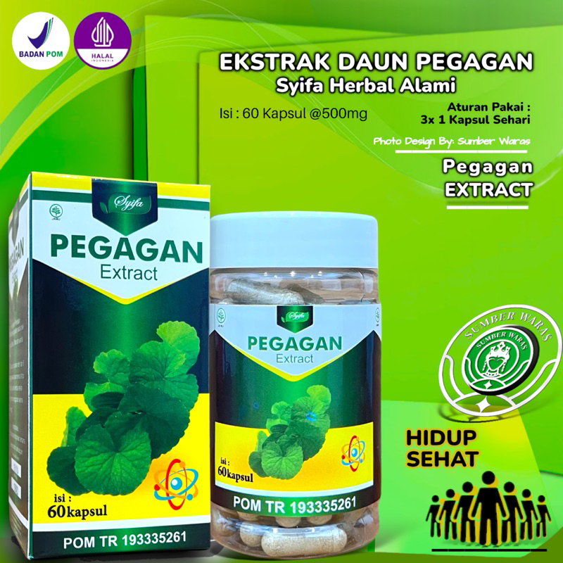 Jual Kapsul Pegagan Syifa BPOM Isi 60 Kapsul @500mg - Ekstrak Pegagan Untuk Kecerdasan Otak ...