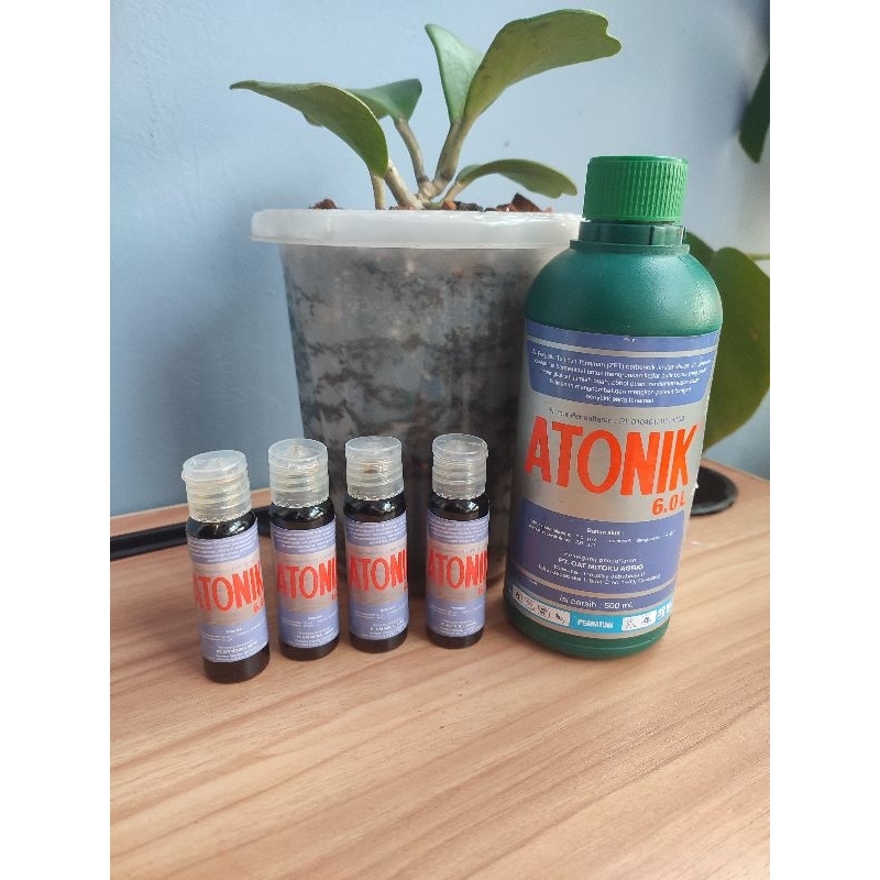 Jual ZPT ATONIK 6.0L Zat pengatur tumbuh pupik cair kemasan 30 ml ...