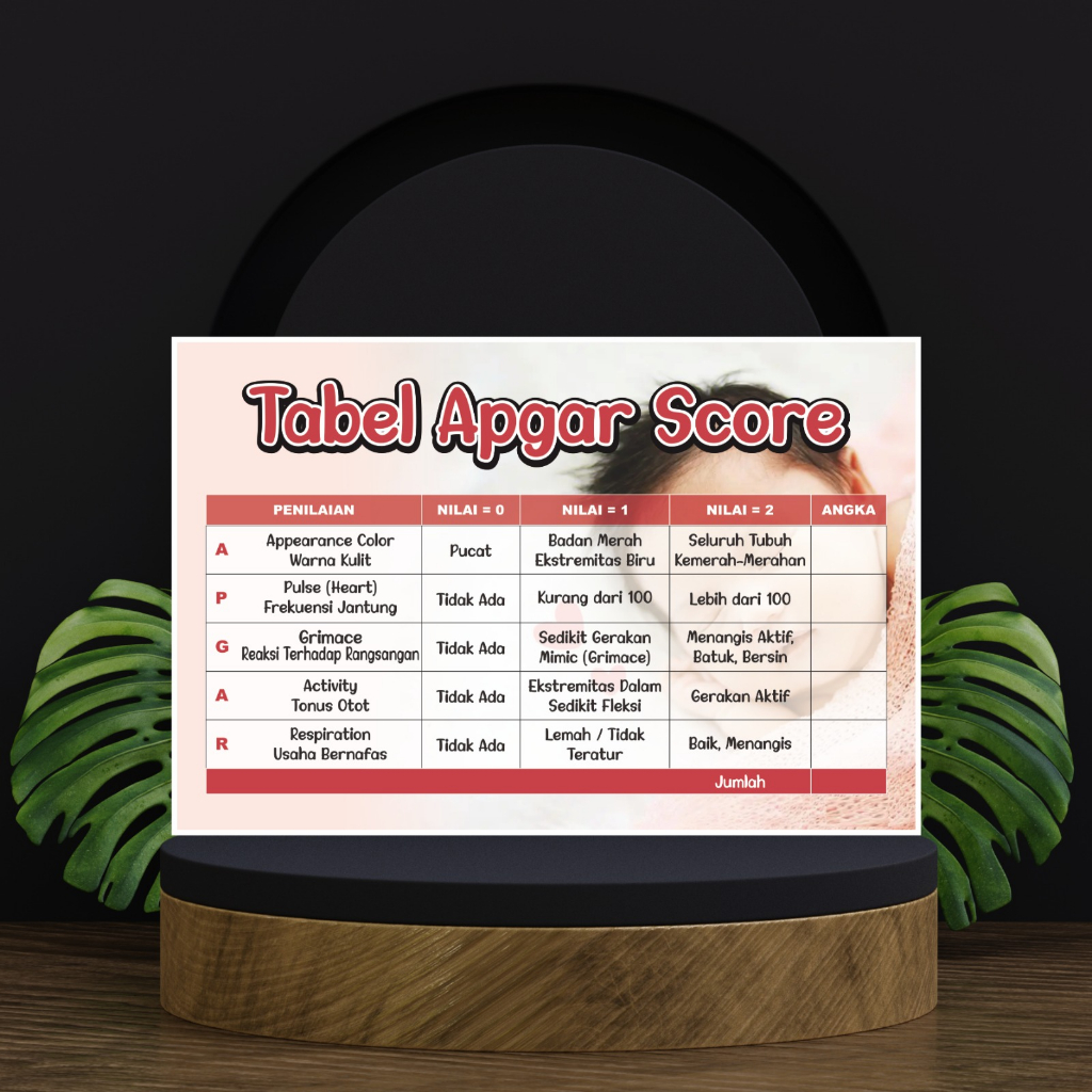 Jual Poster Kebidanan Tabel Apgar Score | Shopee Indonesia