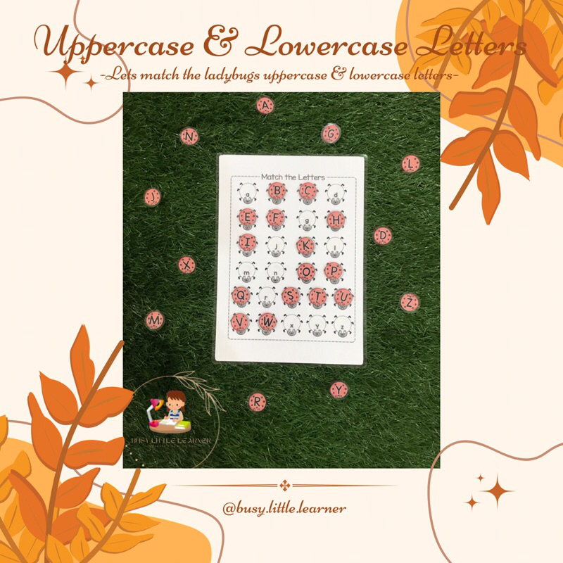 Jual Uppercase & Lowercase Letter Matching Activity - Ladybugs Version ...