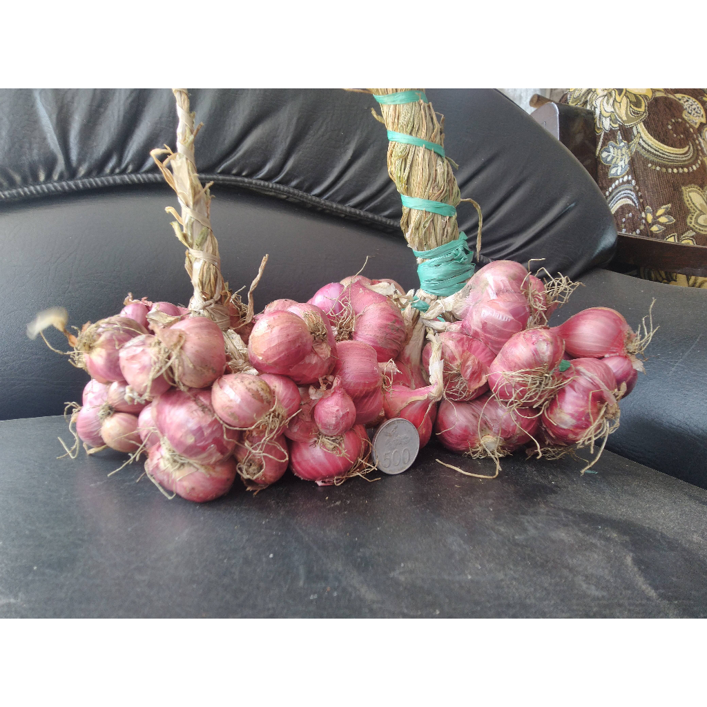 Jual Bawang Merah Biru lancor | Shopee Indonesia