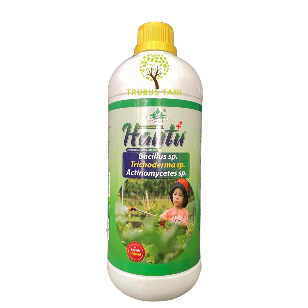 Jual Pupuk + Fungisida Hayati Hantu Bacillus sp. Trichoderma sp ...