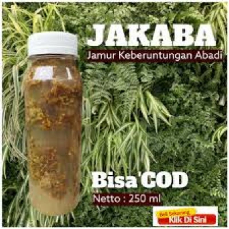 Jual JAKABA SUPER 250 ml Full Jakaba 100% Beruntung | Shopee Indonesia