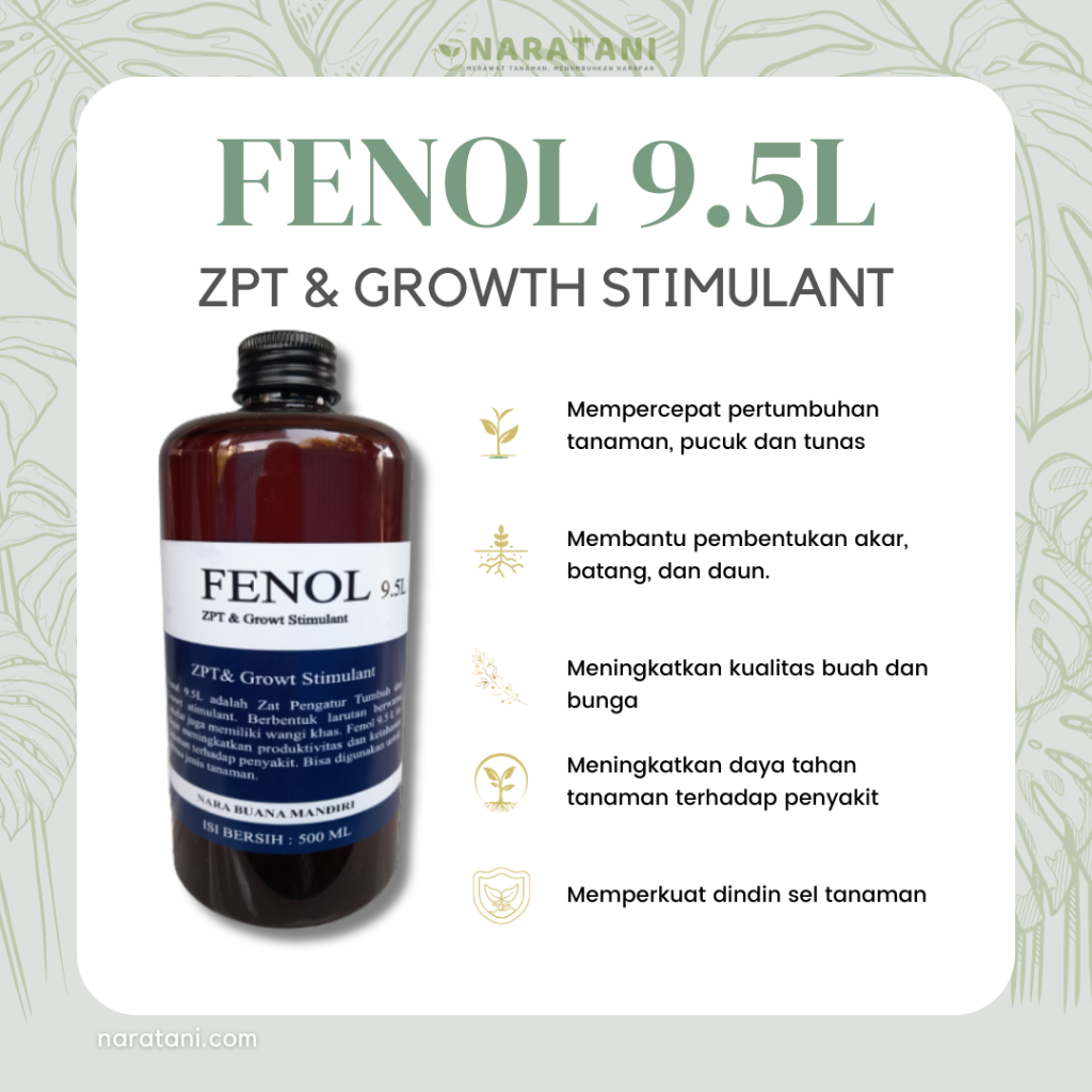Jual Nutrisi Tanaman - Fenol 9.5L Growth Stimulant & ZPT | Shopee Indonesia
