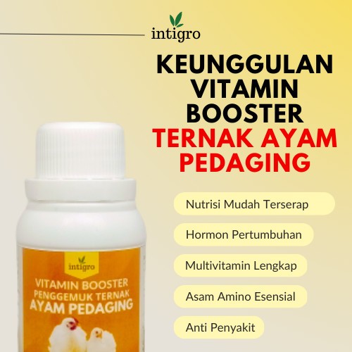 Jual Vitamin Ternak Ayam Broiler Pedaging / Obat Ternak Ayam Pedaging ...