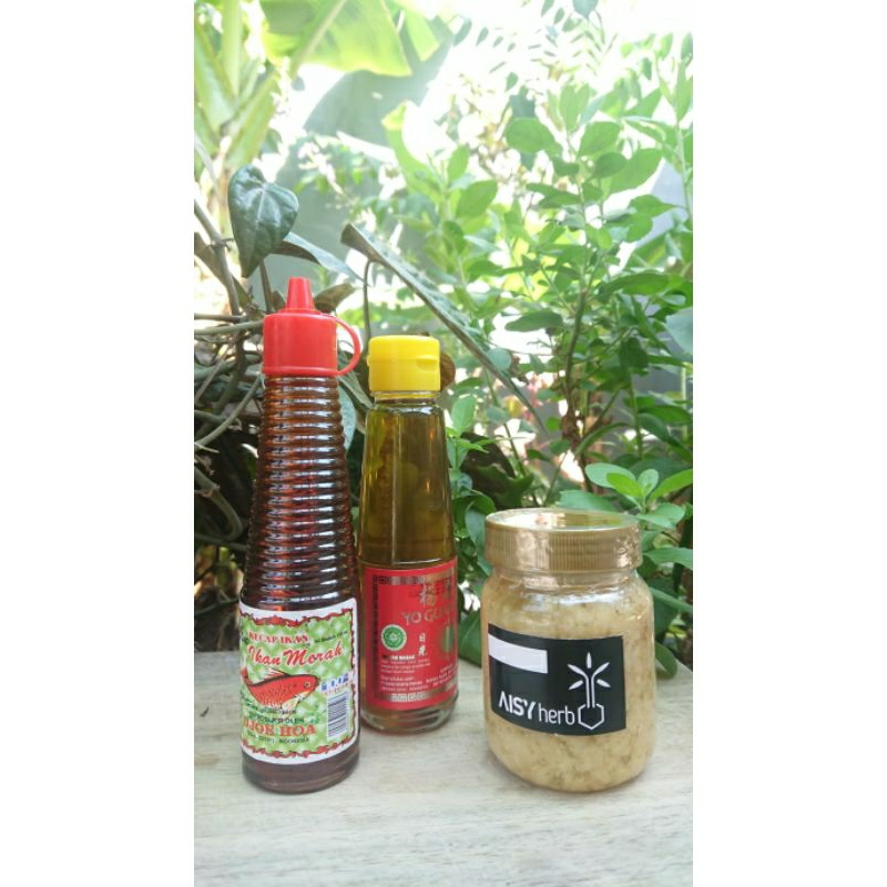Jual 3in1 Bundle Baceman Bawang + Minyak Wijen + Kecap Ikan | Shopee ...