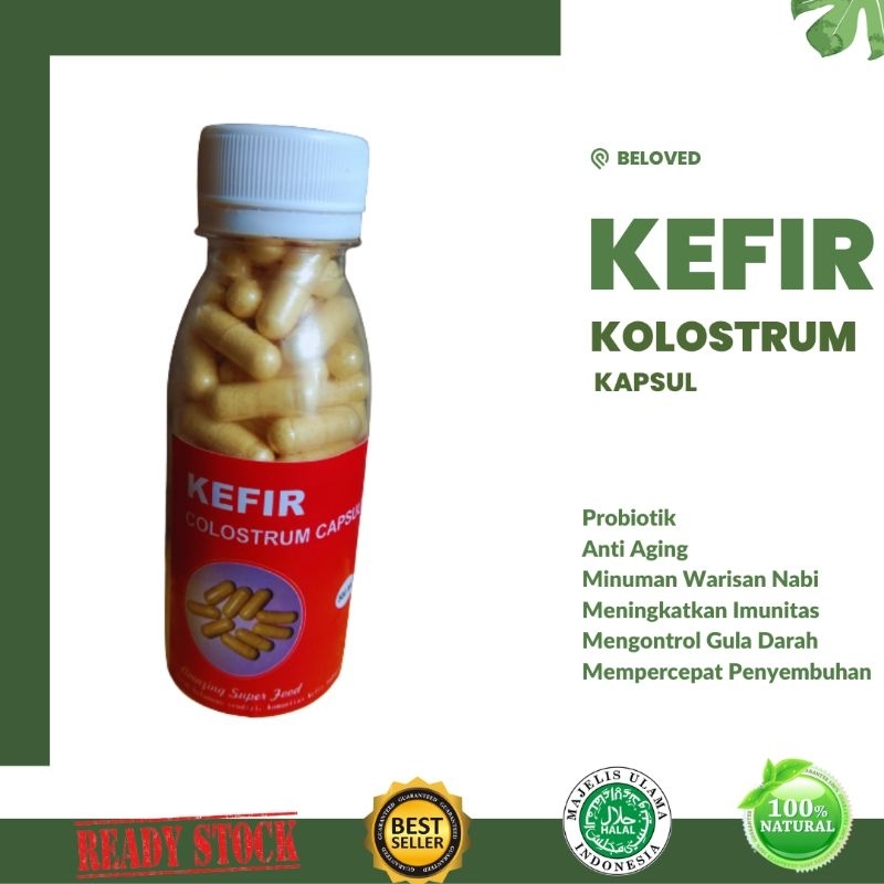 Jual Kapsul Susu Kefir Kolostrum Fermentasi Suplemen Probiotik 100 ...