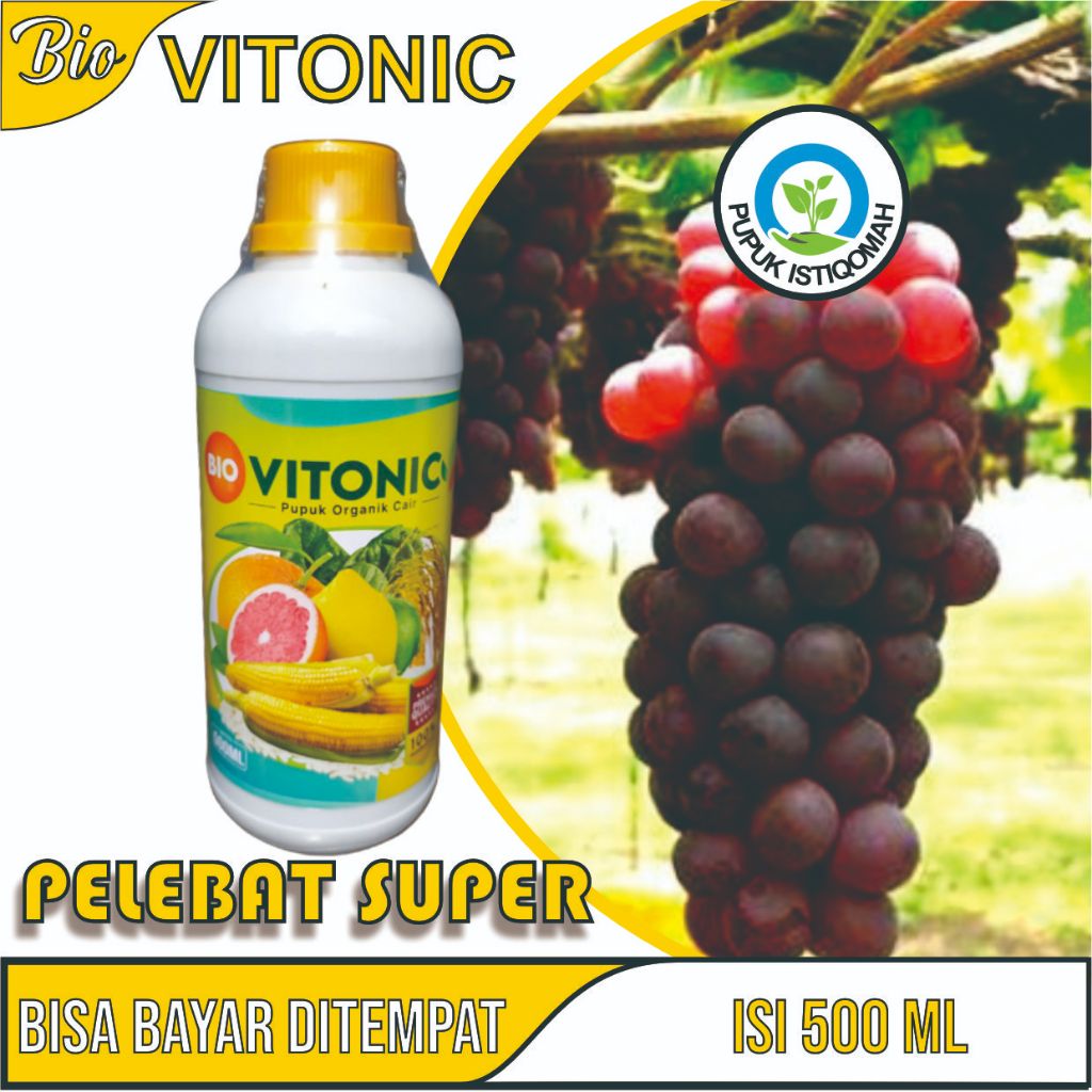 Jual Pupuk Buah Anggur Cepat Besar Dan Lebat - BIO VITONIC 500 ML Pupuk ...