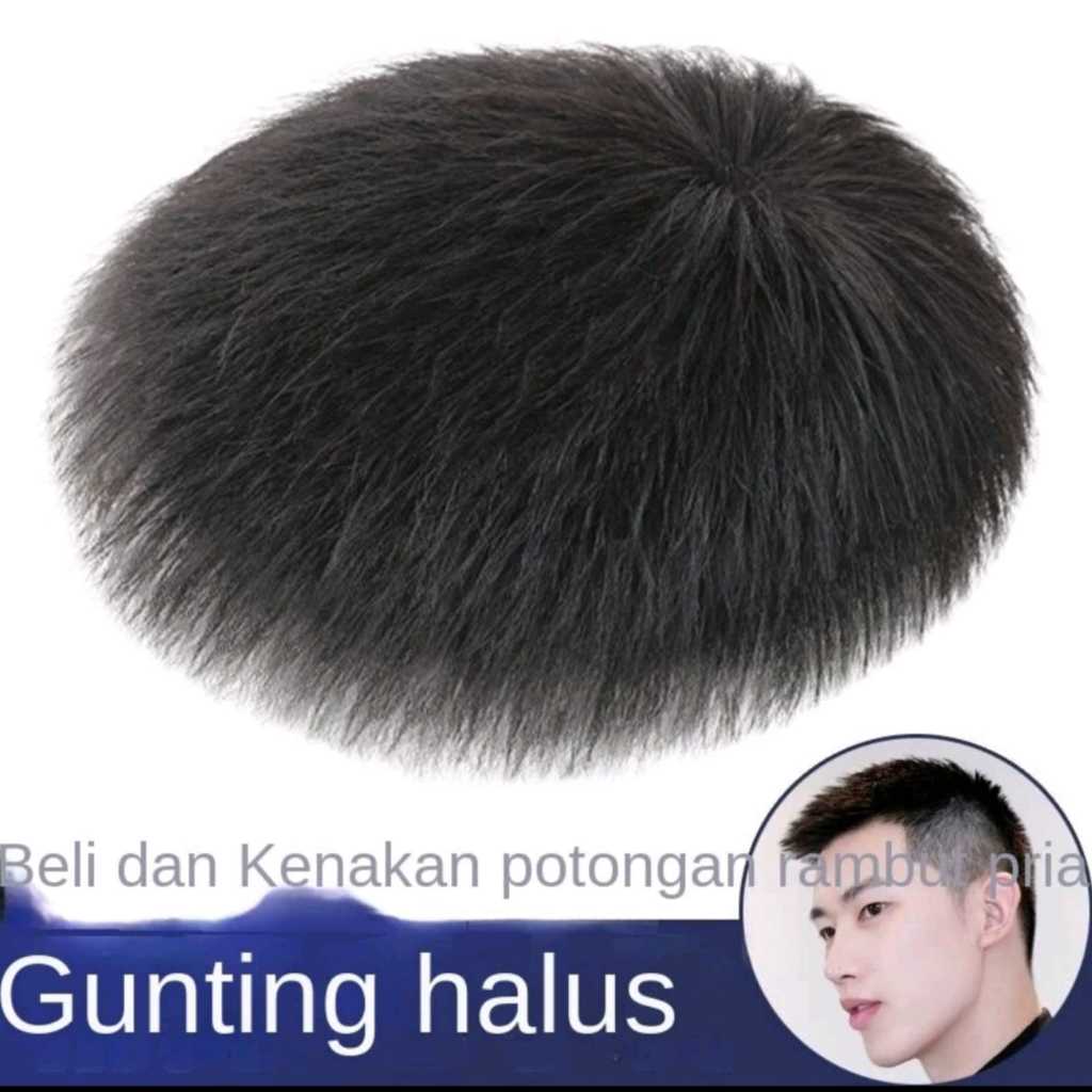 Jual Wig Penutup Botak Pria Toupee Pendek & Tipis Warna Hitam Natural ...