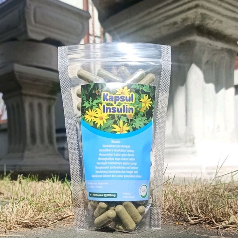 Jual KAPSUL HERBAL DAUN INSULIN/DAUN YAKON obat diabetes gula darah ...