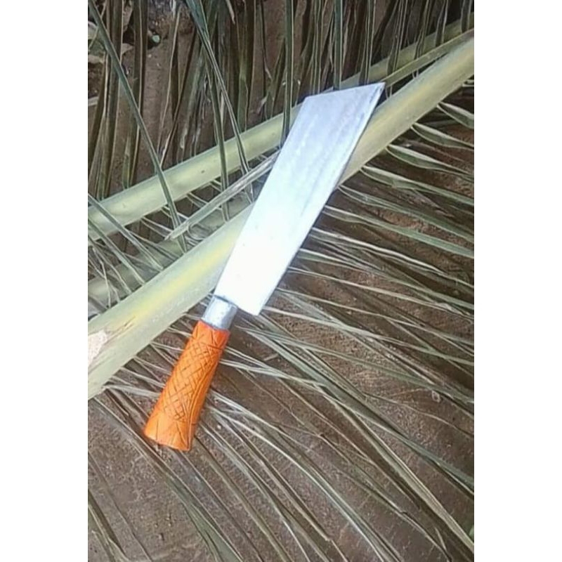 Jual pisau pengupas kelapa muda atau potong daging dan lainnya | Shopee ...