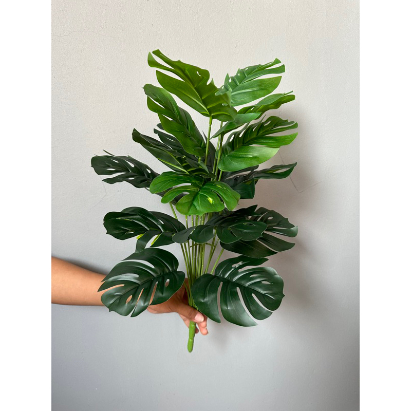 Jual TANAMAN PALSU MONSTERA HIJAU UKURAN KECIL | Shopee Indonesia