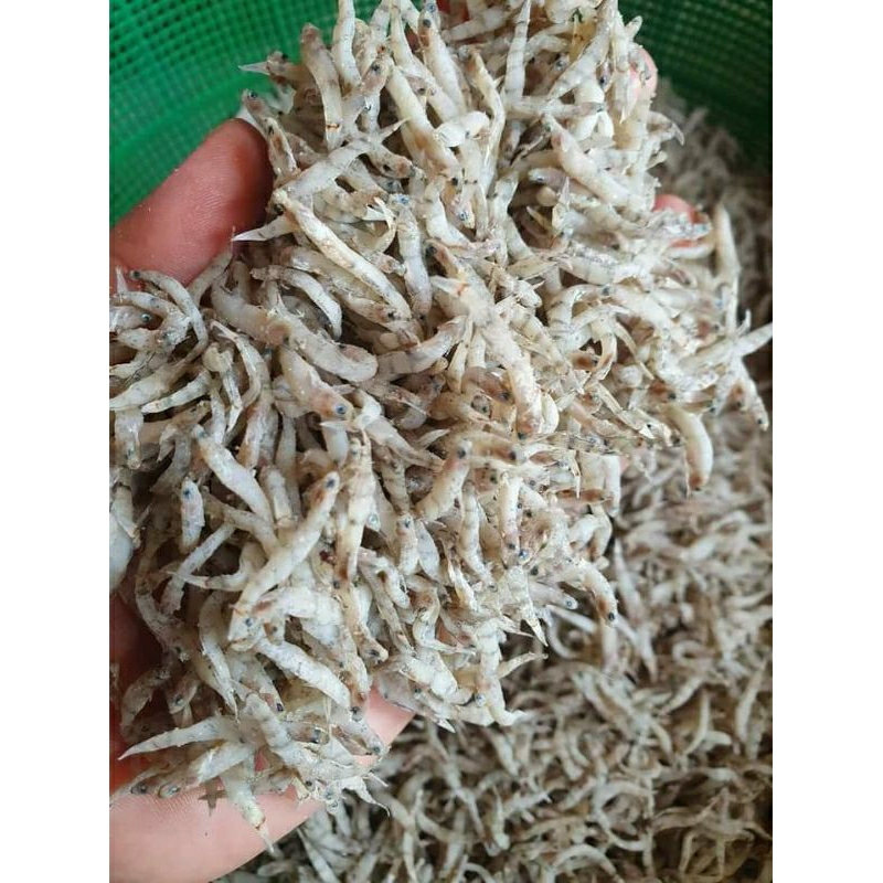 Jual Ikan Penja | Shopee Indonesia