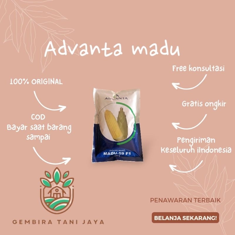 Jual Benih Jagung Manis MADU-59 F1 isi 250 G dr Advanta | Shopee Indonesia